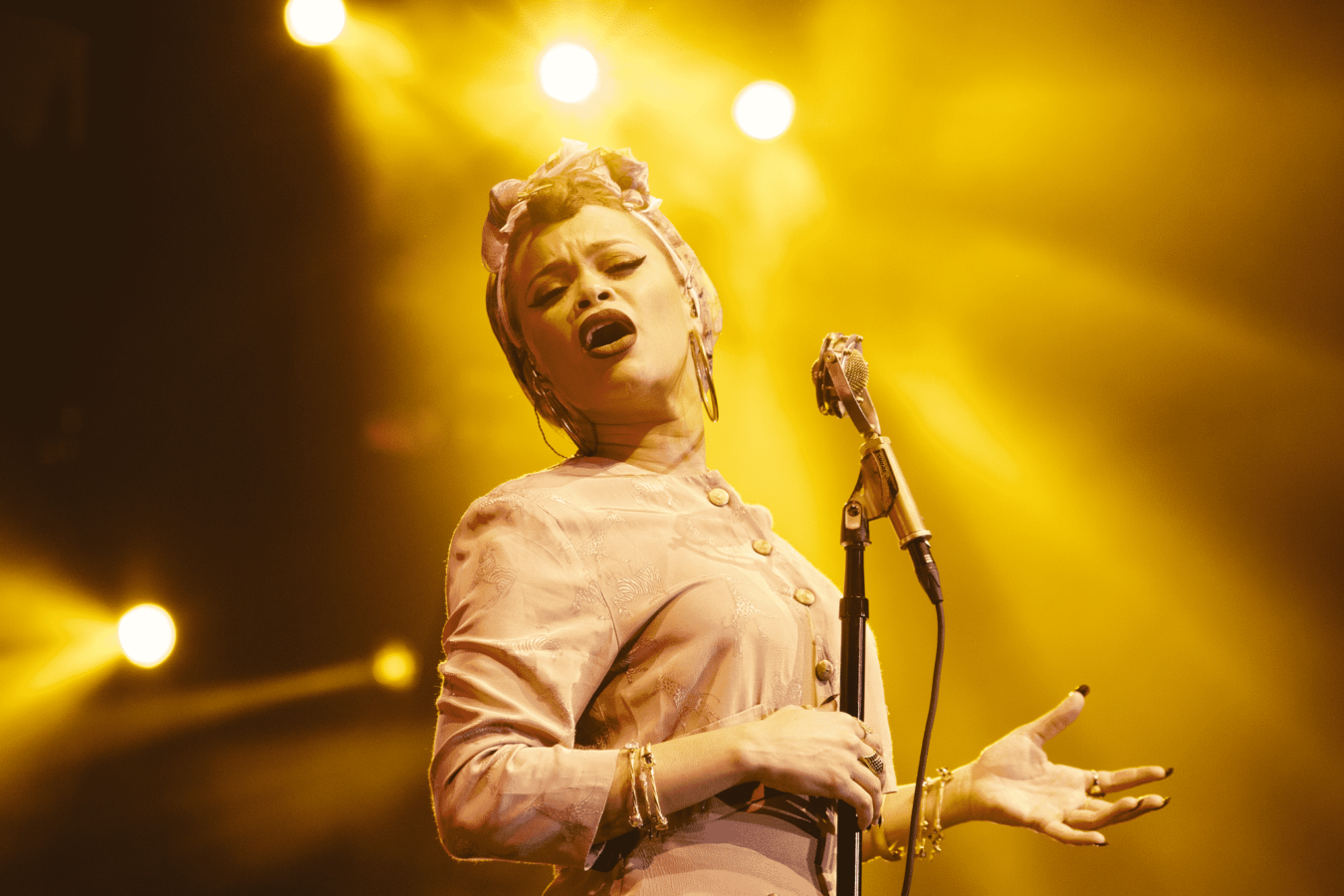 Greg Noire: Master Photographer of Live Music & Portraits