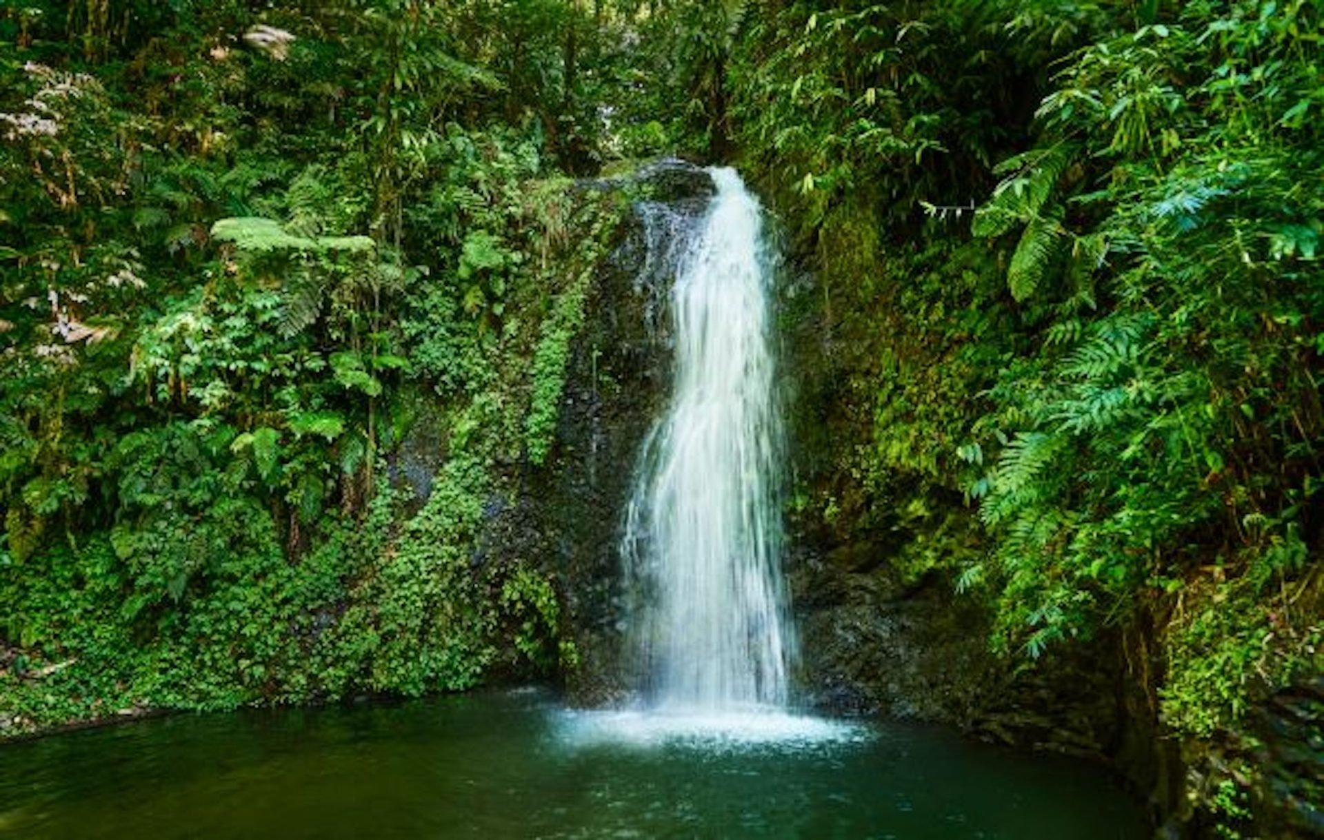 The French Caribbean Island of Martinique Should Be On Your Travel ...