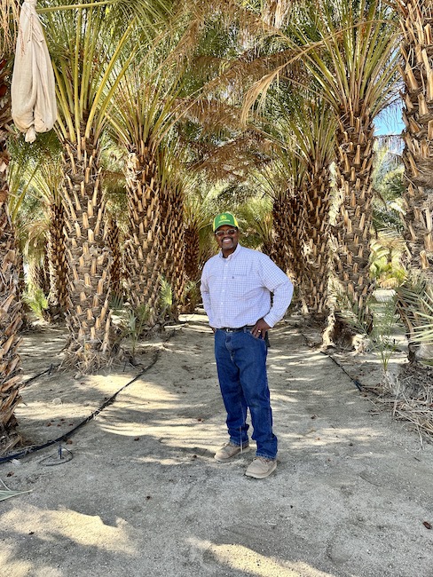 An EBONY-inspired Guide to Exploring the Great Outdoors in Palm Springs ...
