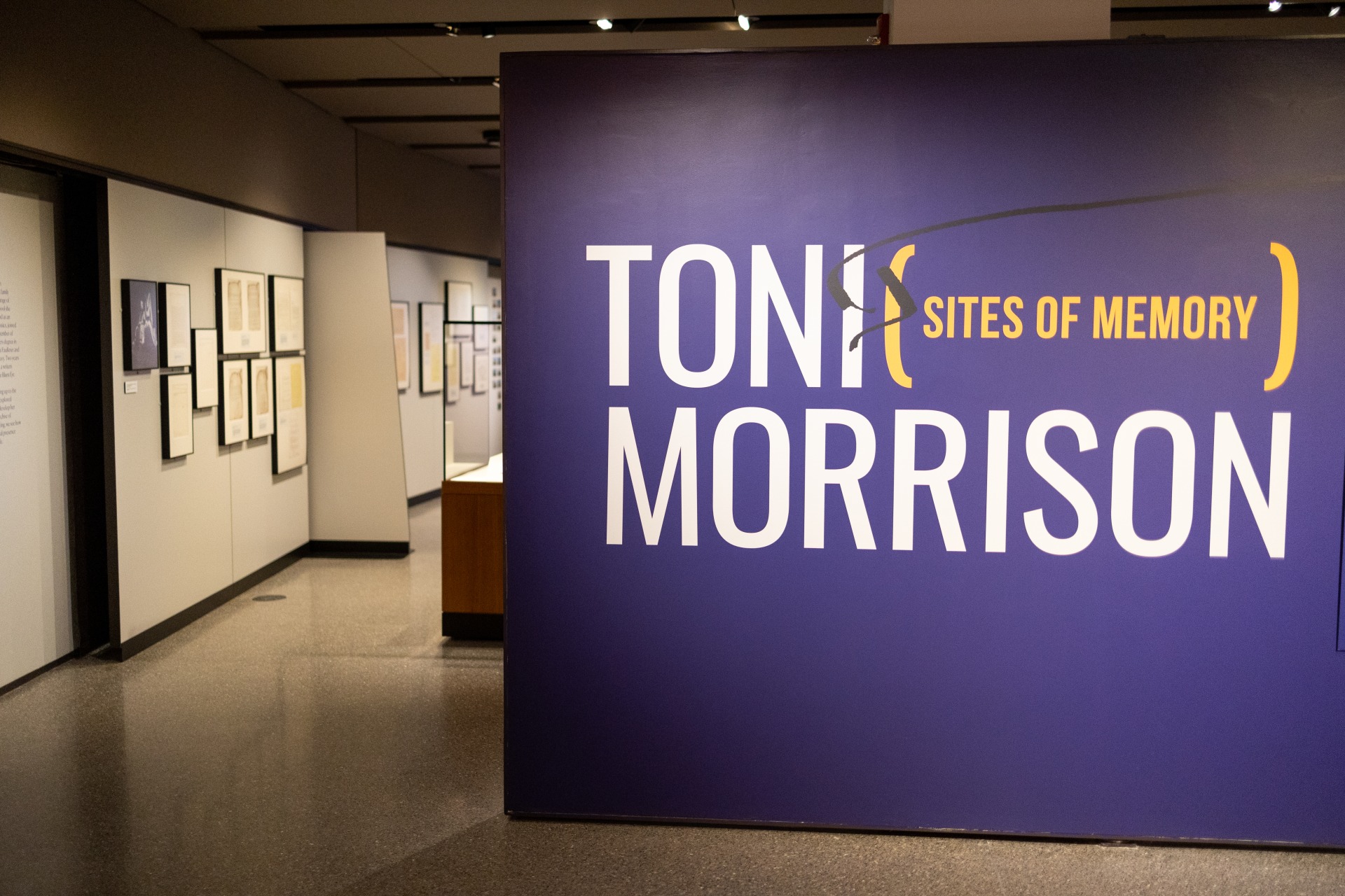 6 Fascinating Facts From the 'Toni Morrison: Sites of Memory ...
