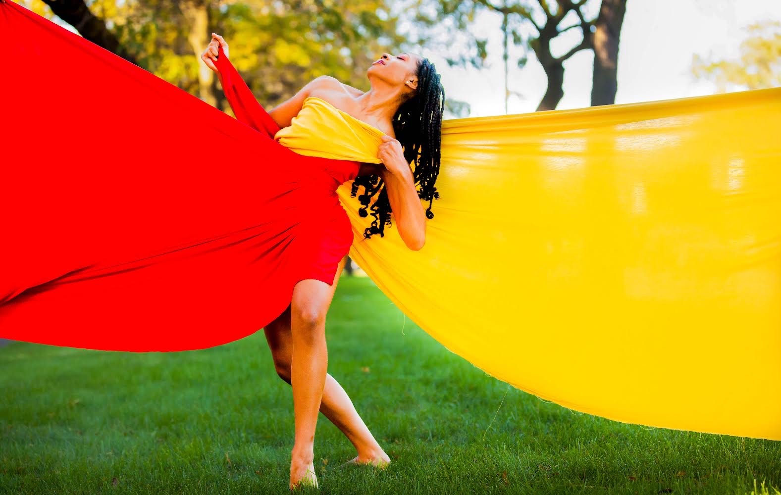 Experience Chicago's Best Dance on the World's Largest Art Projection