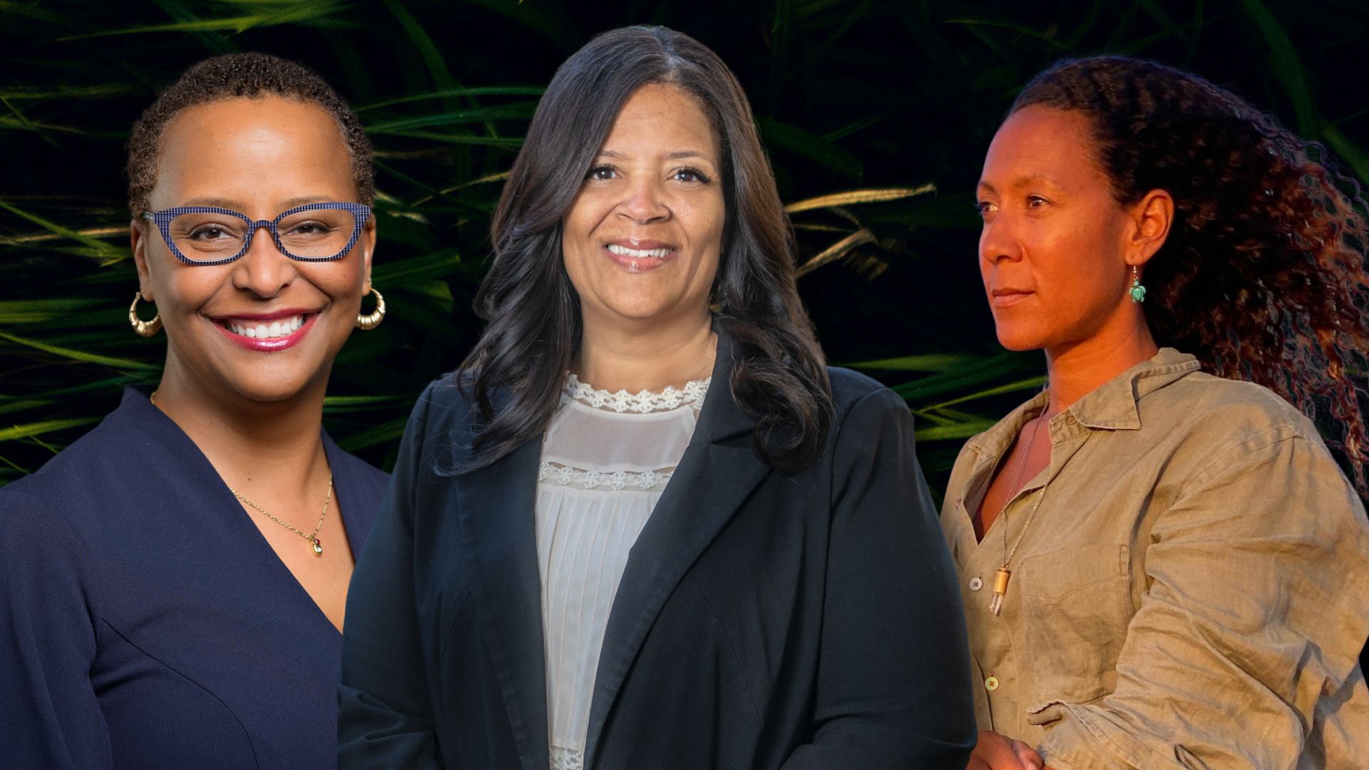 Wildlife Conservation Is More Than What's On TV—3 Experts Tell Us How ...