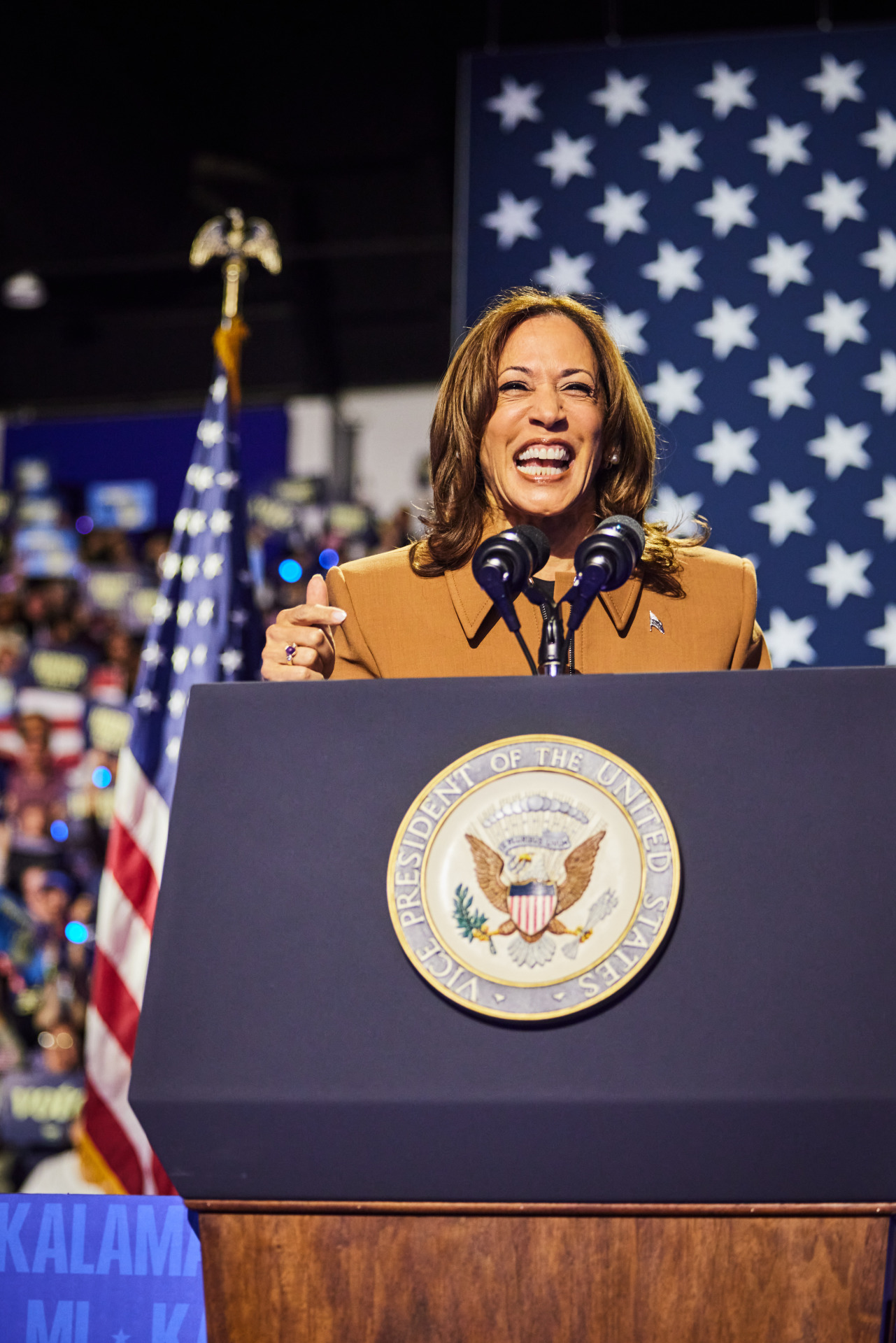 Kamala Harris is the Archetype of a Political Icon Beyond All ...