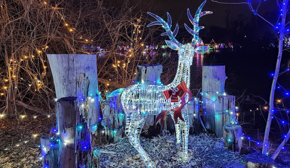 Rich Auntie Getaway: Fall Into Rhode Island This Holiday Season