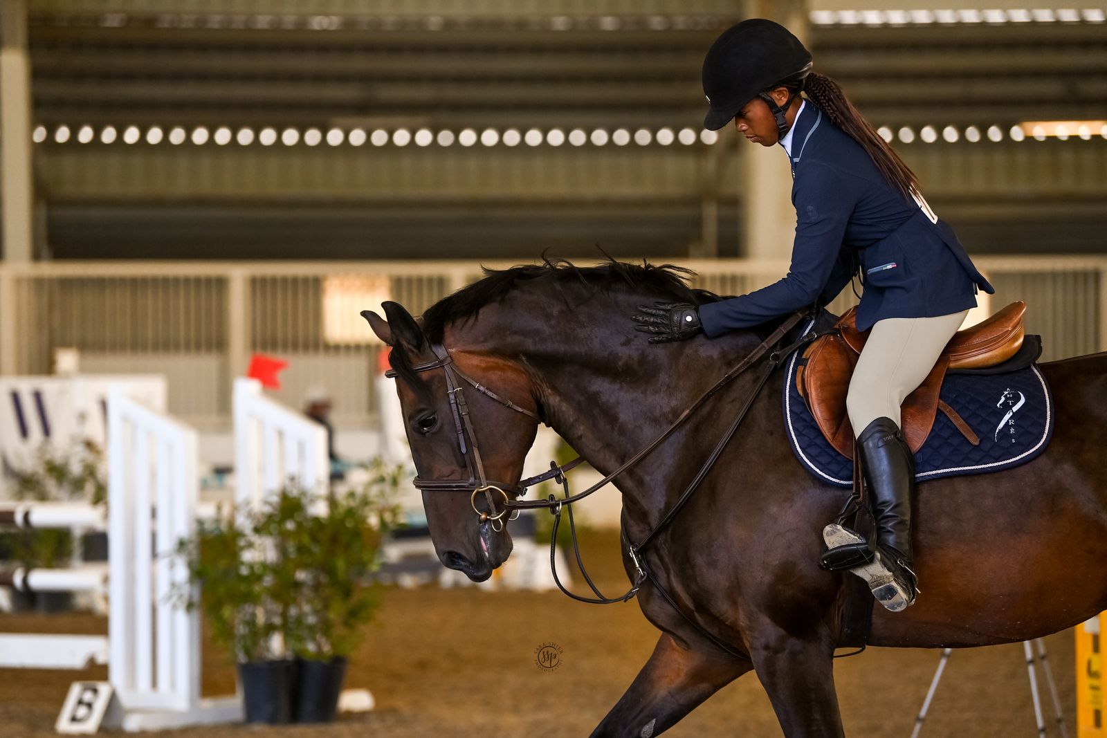 Zoie Brogdon: Equestrian Redefining Success on Her Own Terms - memesita ...